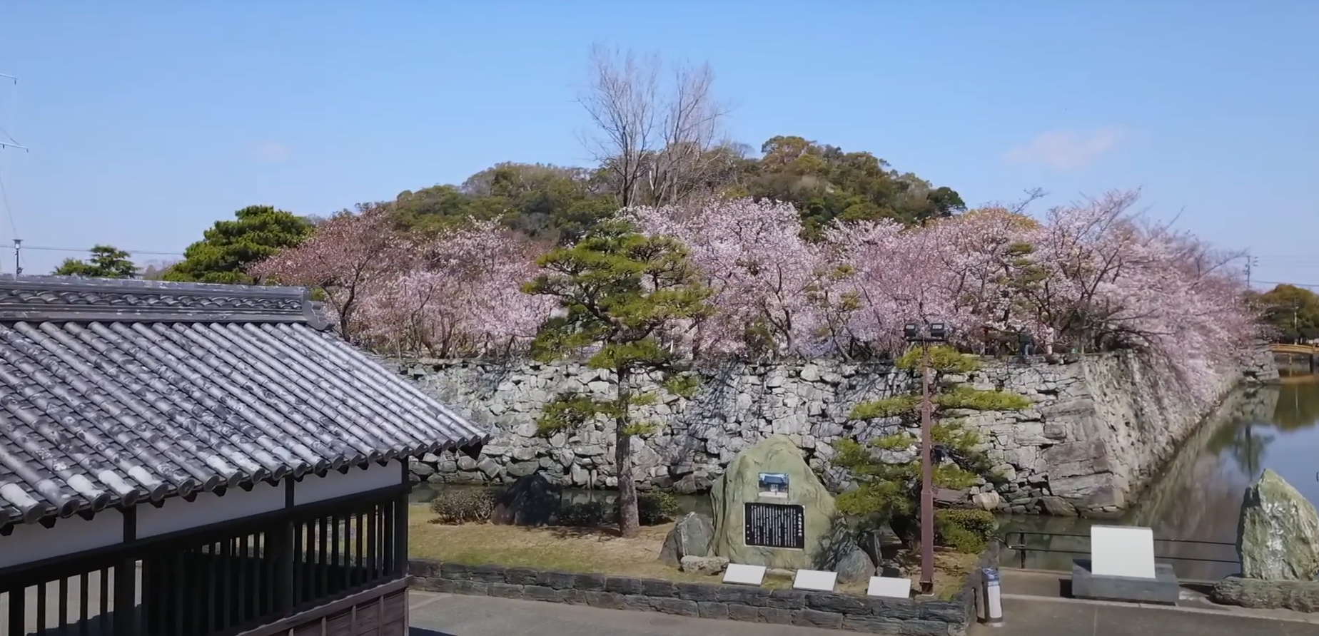 【2026年】徳島の桜名所・お花見スポット特集｜開花予想日もご紹介 | 徳島県の転職・求人に特化した【いつか徳島】ムツビエージェント（株）運営