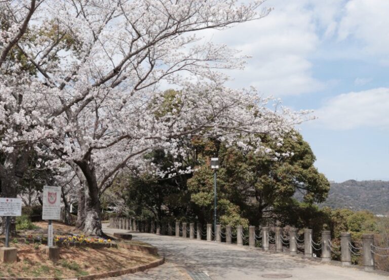 【2026年】徳島の桜名所・お花見スポット特集｜開花予想日もご紹介 | 徳島県の転職・求人に特化した【いつか徳島】ムツビエージェント（株）運営